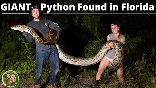 Huge Python Seen In Lephalale Cobus Bekker Mp3 Mp4 Download Clip