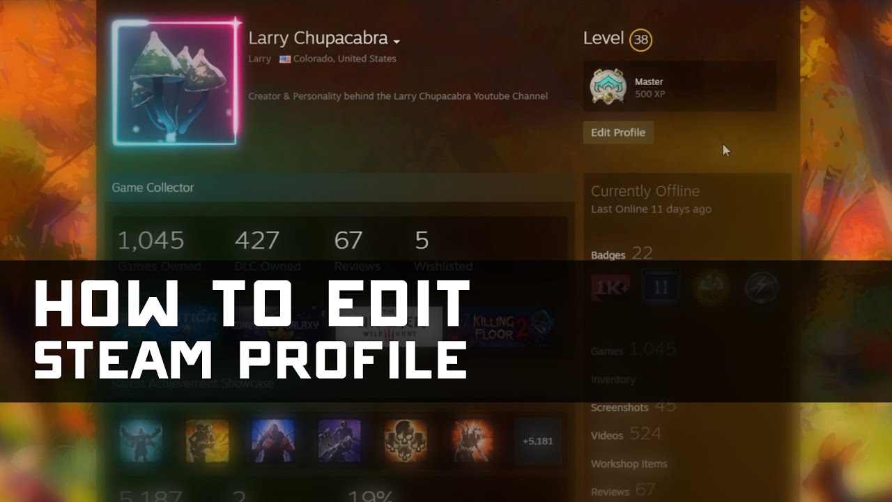 How To Edit Customize Steam Profile Page New Animated Icons