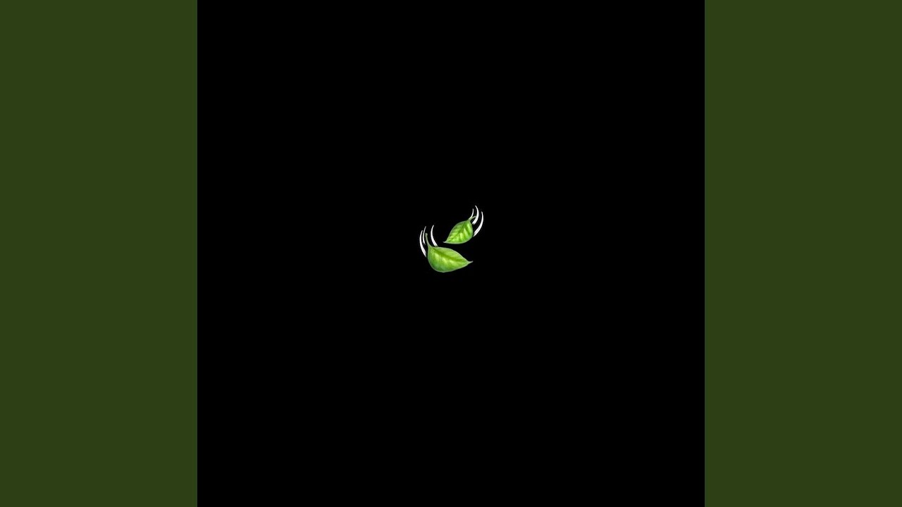 Intro Youtube