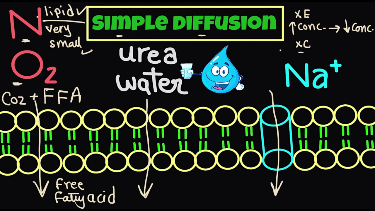 Simple Diffusion Youtube