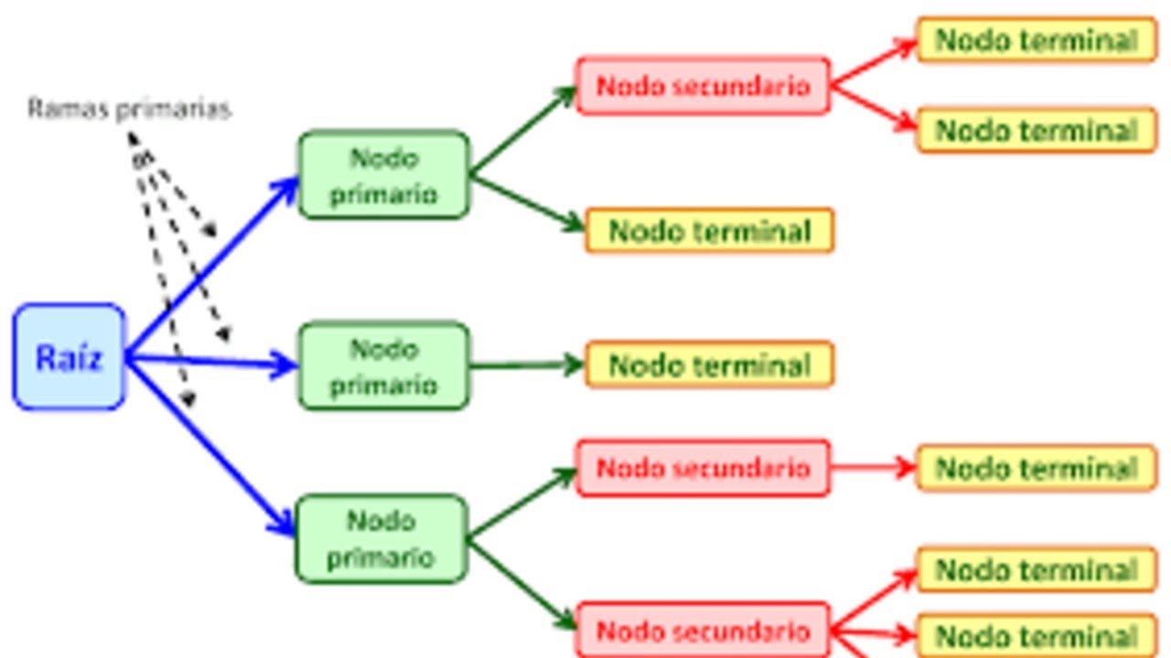 Diagrama De Arbol Probabilidad Ejemplos Youtube