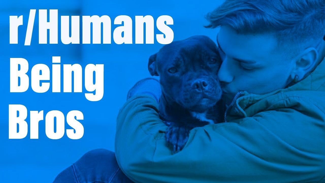 R Humansbeingbros рџ њ Heartwarming Good Vibes Youtube