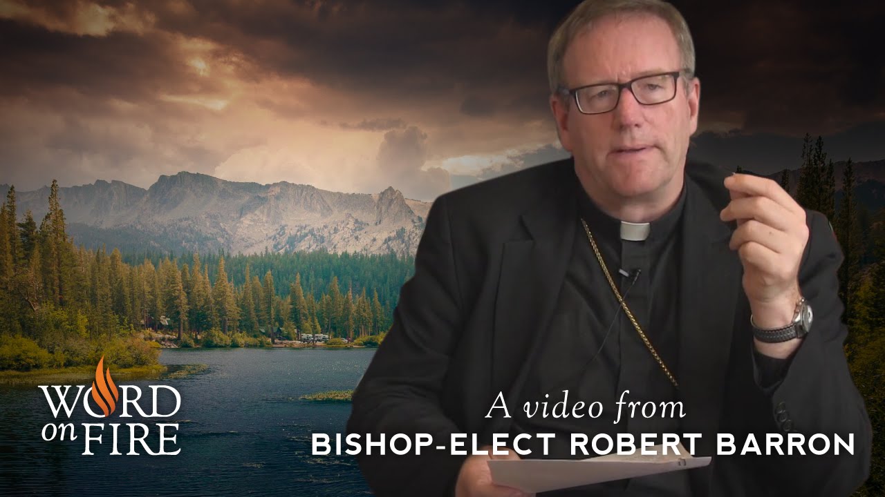 Bishop Barron On Nature And The Biblical God