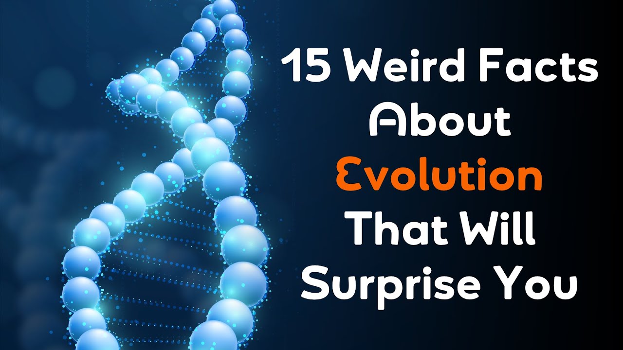 15 Weird Facts About Evolution That Will Surprise You рџ Youtube