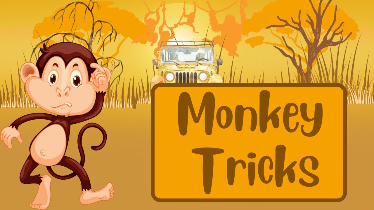 Monkey Tricks Youtube