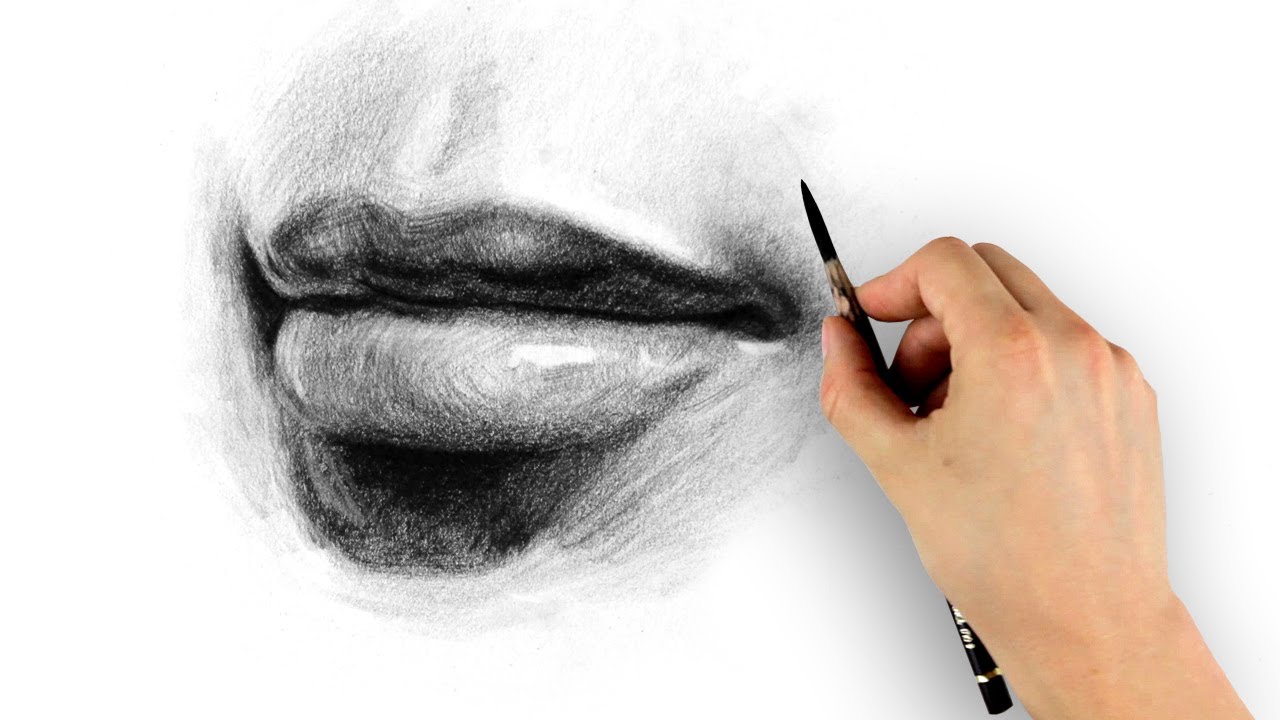 Anatomy Of Lips Drawing Lipstutorial Org