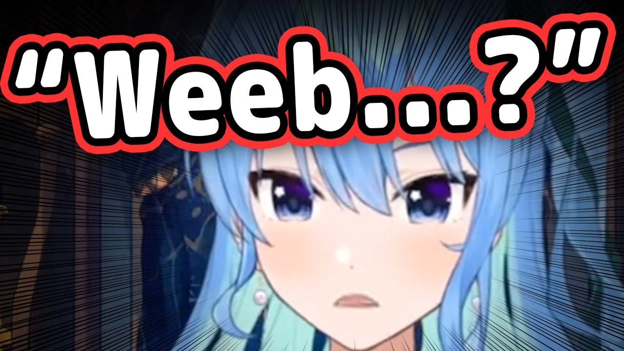 Suisei Learns What Weeb Means In English Hololive Realtime