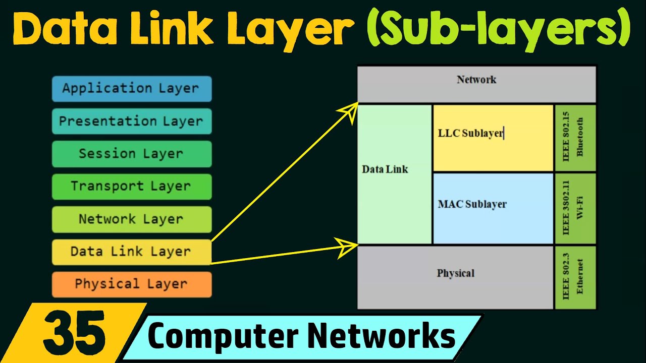 Data Link Layer Functions In Osi Model At Lily Selwyn Blog