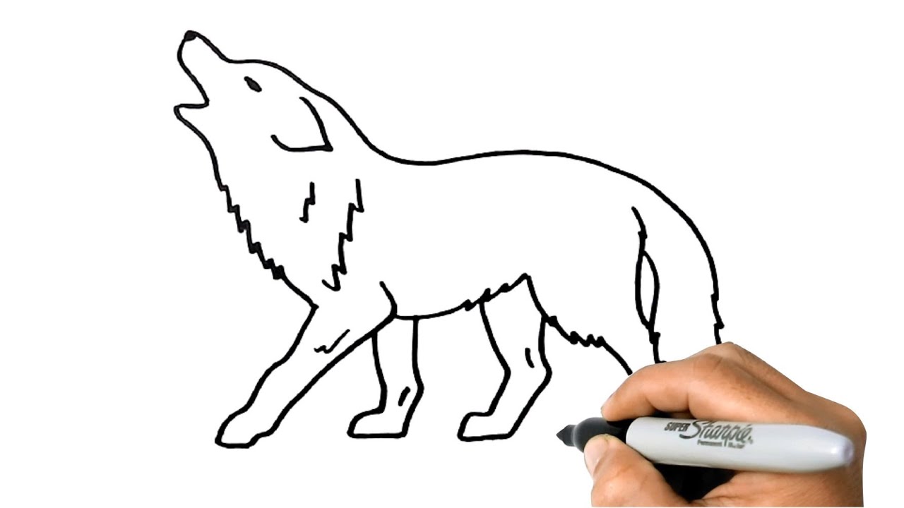 Wolf Drawing Simple