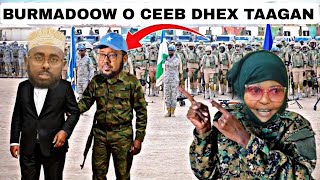 Deg Deg Dawo Fadumo Ibrahim O Burmadoow Kabaha La Dulmartay Dhulbahante ...