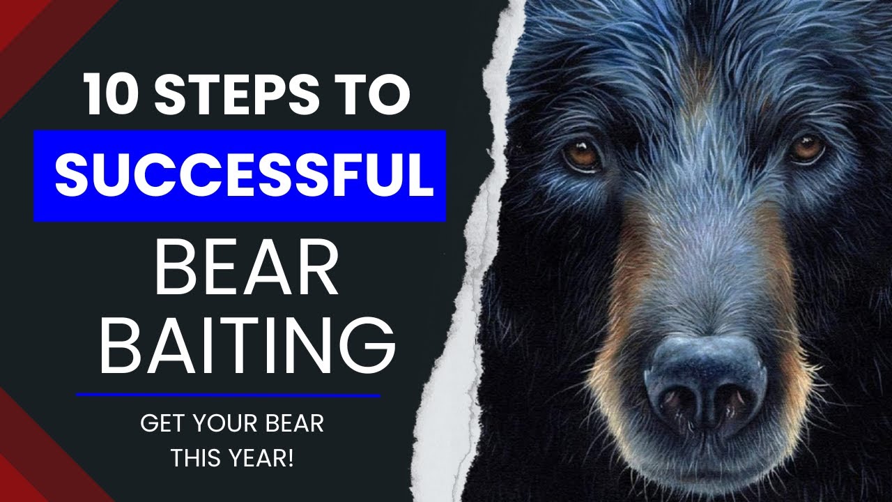 10 Tips For Bear Baiting How To Bait Bears Youtube