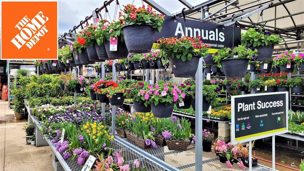 Home Depot Garden Center The Home Depot Updated May 2025 300