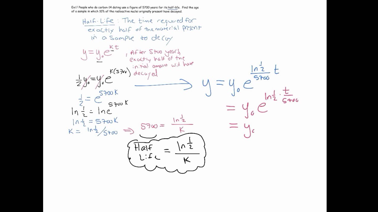 Half Life Formula Calculus