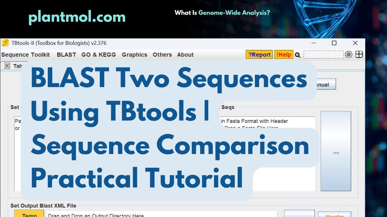 Blast Two Sequences Using Tbtools Sequence Comparison Practical