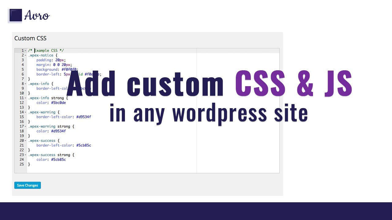 Add Custom Css And Js To Any Wordpress Site Youtube