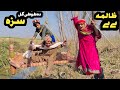 Tuti Gul Vines 2025 Mp3 Music & Mp4 video downloads