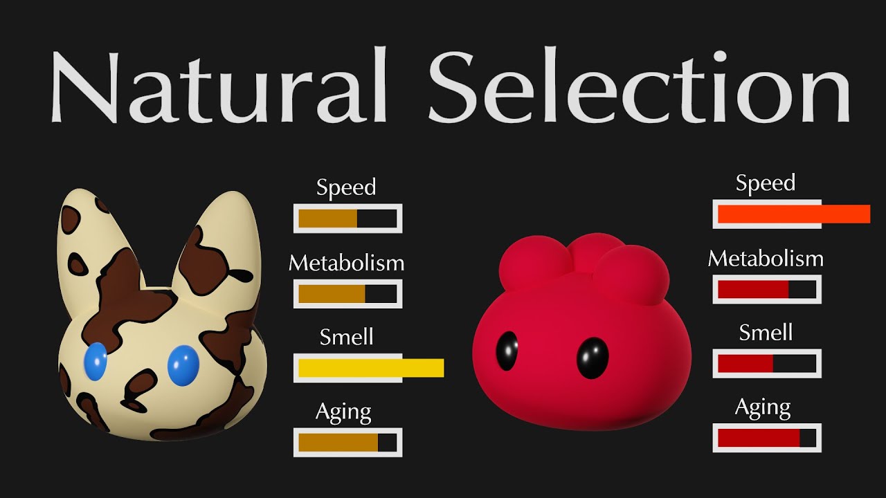 Simulating Natural Selection Youtube