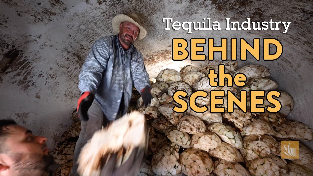 Tequila Industry Behind The Scenes Youtube