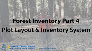 Forest Inventory Part 4 Plot Layout U0026 Inventory Sy Doovi
