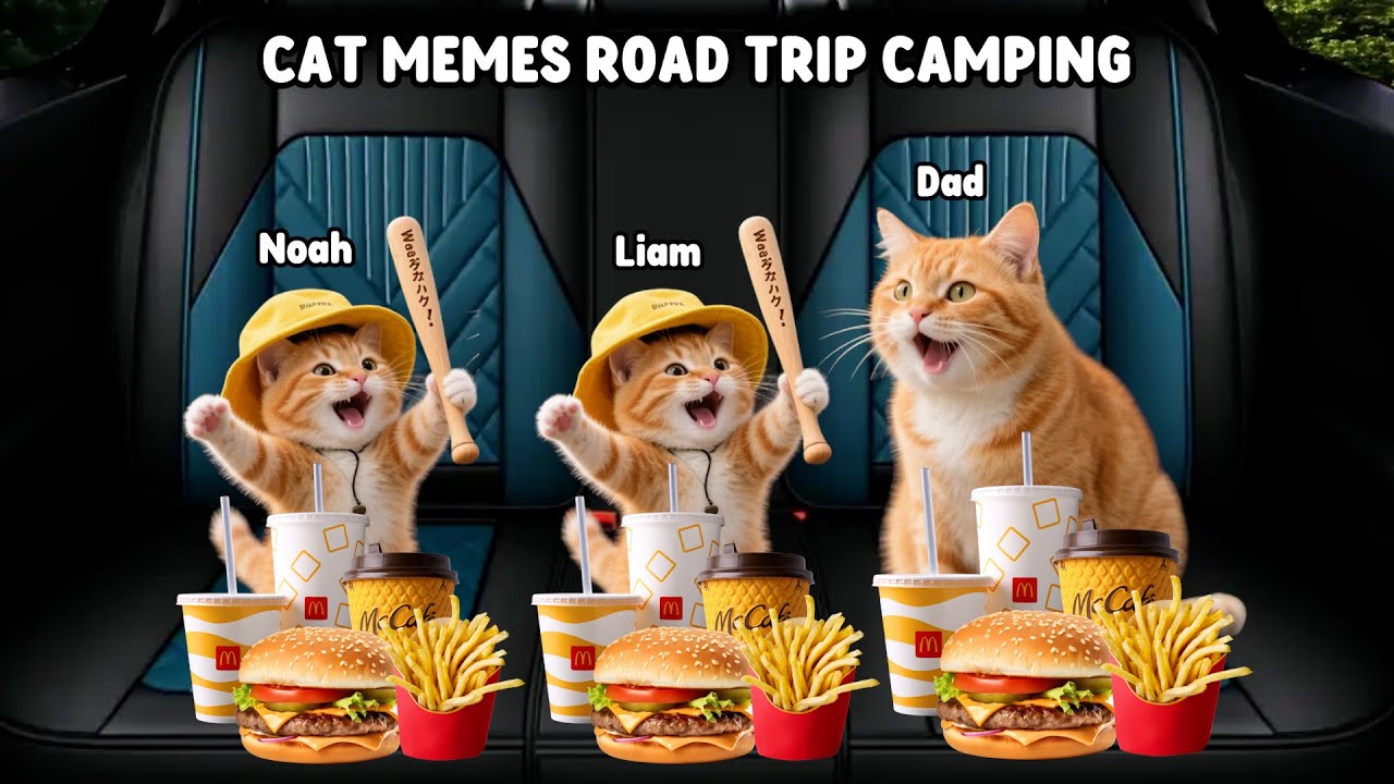 Cat Memes Road Trip Camping Youtube
