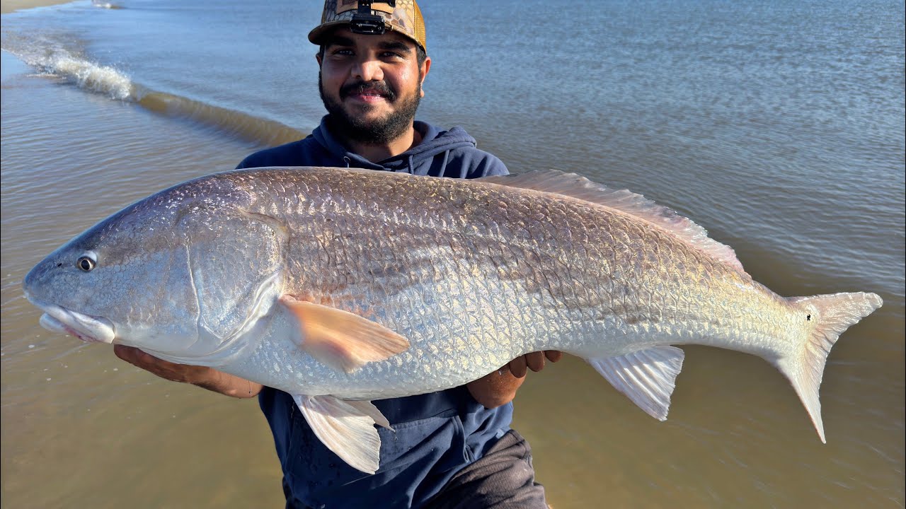 How To Catch A Giant Red Drum Pb Red Drum Youtube