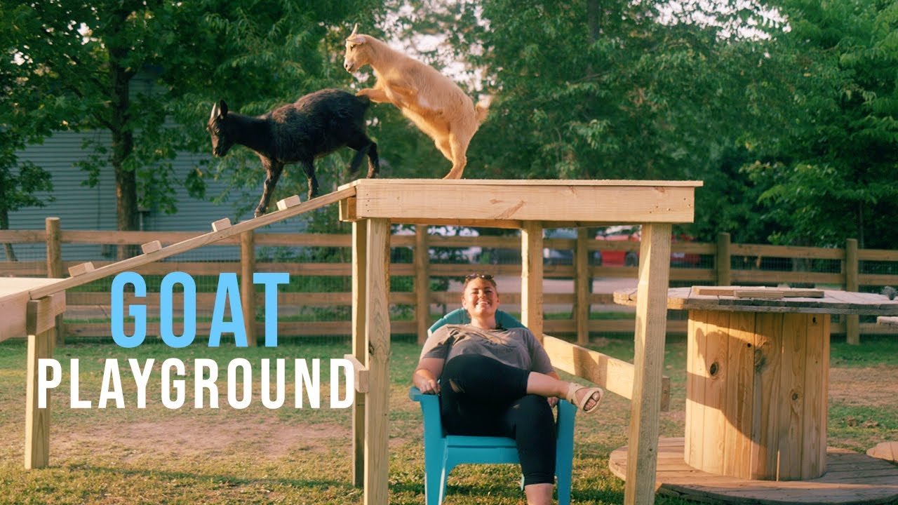 Building A Goat Playground
