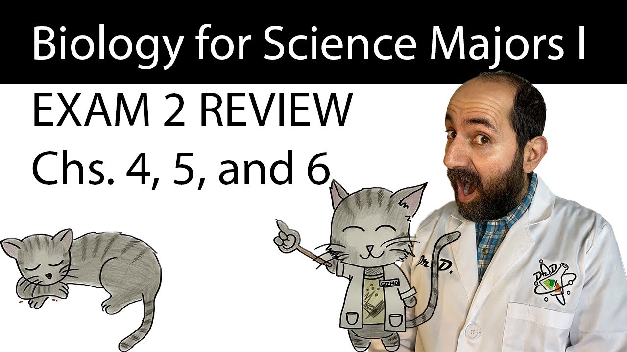 Biol 1406 Exam 2 Review Chapters 4 5 And 6 Youtube