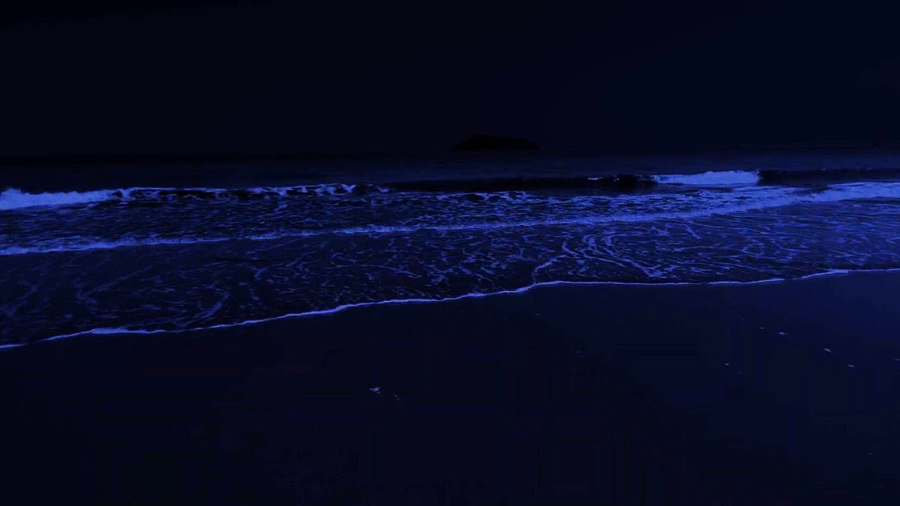 Relaxing Music With Ocean Waves Music Stress Relief Wave Sounds