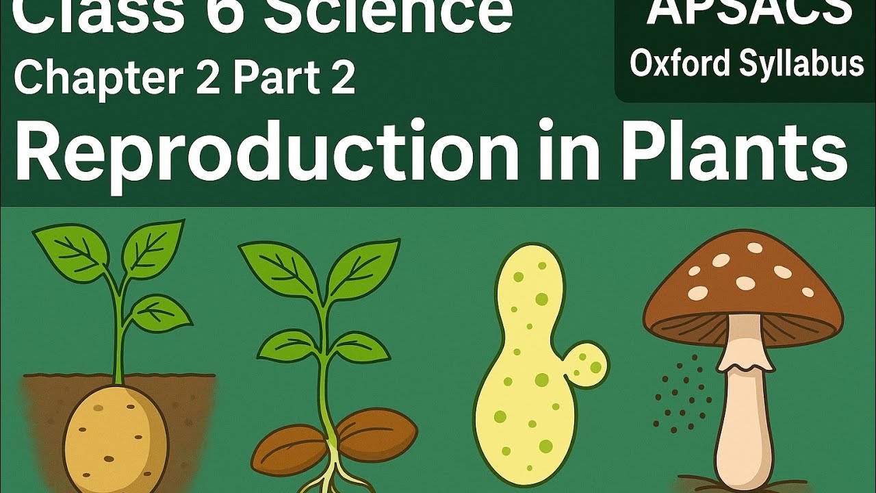 Class 6 Science Chapter 2 Part 2 Reproduction In Plants Apsacs