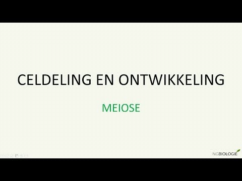 Celdeling En Ontwikkeling Celdeling En Ontwikkeling Meiose