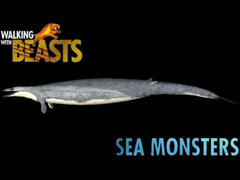 Walking With Series 2001 2004 Basilosaurus Screen Time Youtube