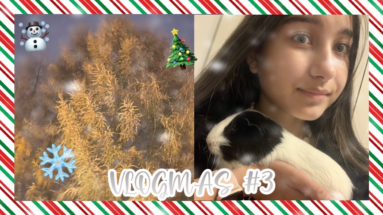 Vlogmas 3 Youtube