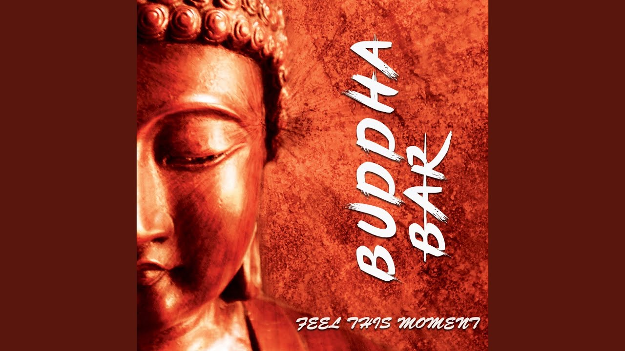 Nightlife Youtube Music