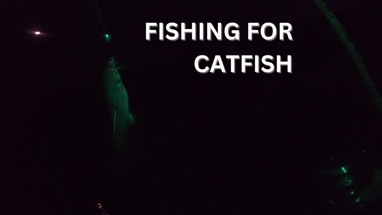Fishing The Flooded River Youtube