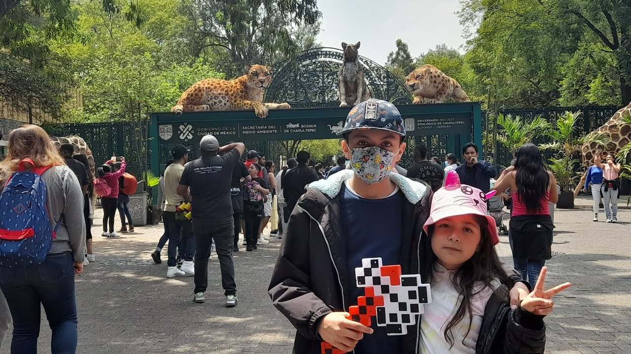 Visitando El Zoolгіgico De La Cdmx Holaisaв ў Zoo Cdmx рџ ќрџђ рџђїрџ рџђјрџђїрџ љ Youtube