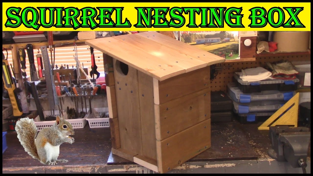 How To Build A Squirrel Nesting Box Youtube