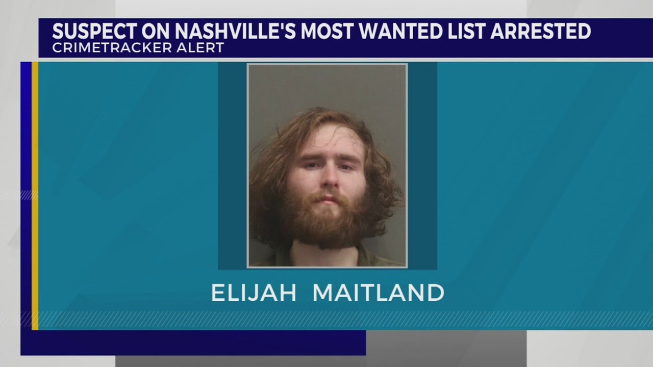 Wanted Fugitive Arrested After Chase At Belmont Youtube