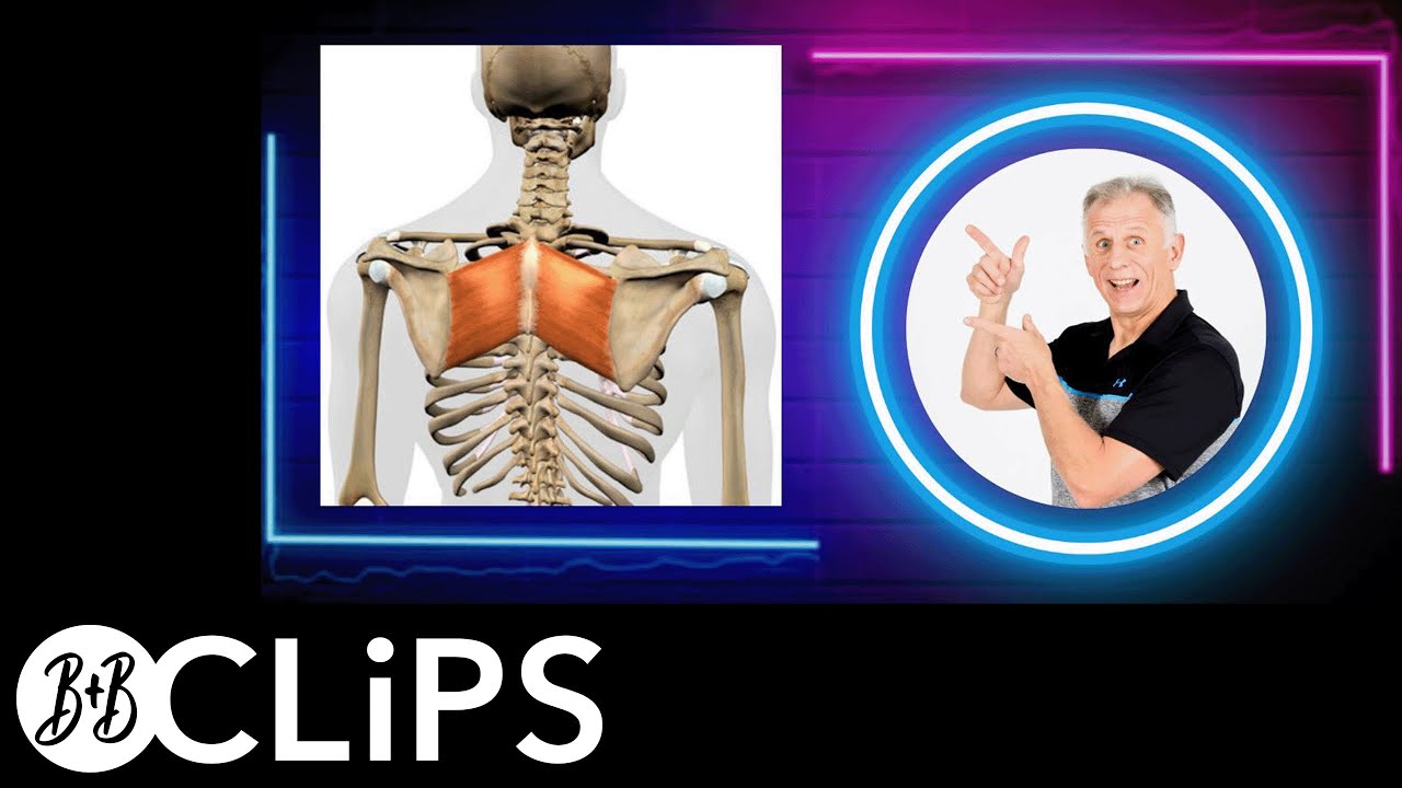 Rhomboid Pain 3 Ways To Fix Fast Permanently B B Clips Youtube