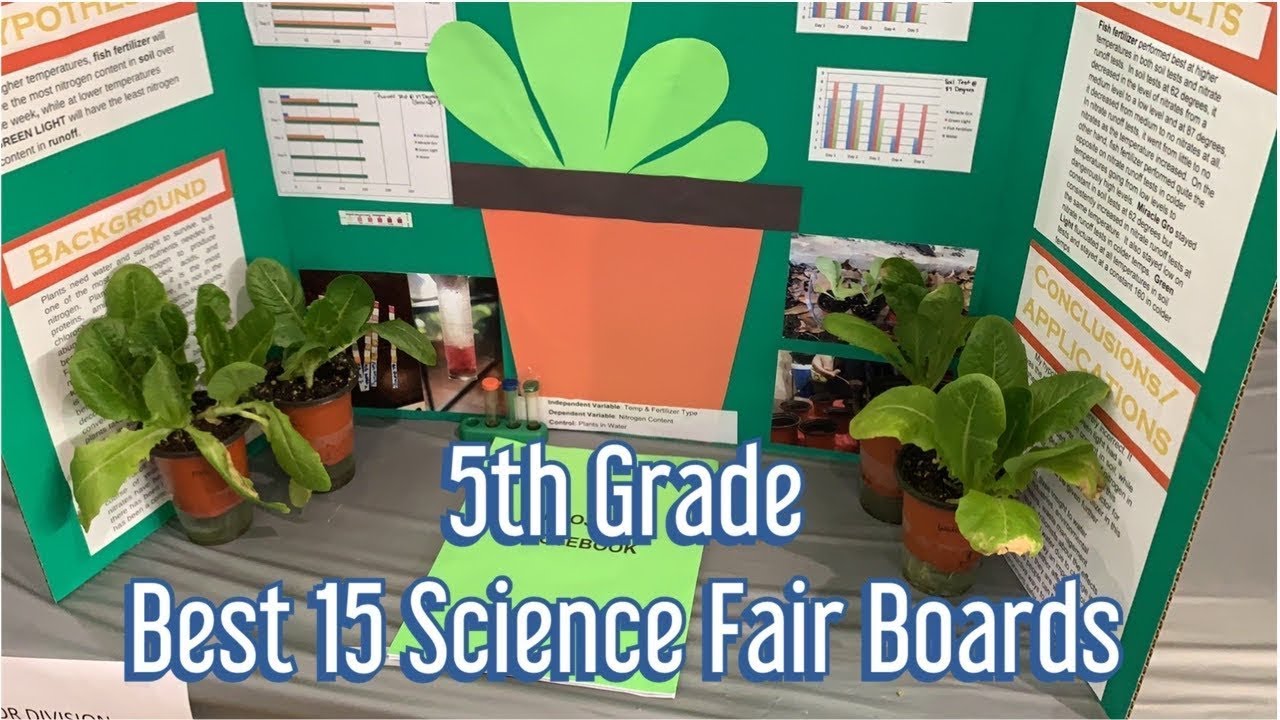 Science Fair Projects For 5th Grade First Place