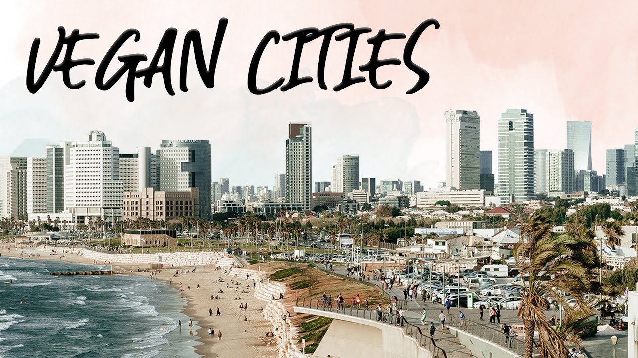 Top 9 Vegan Friendly Cities In The World Livekindly Youtube