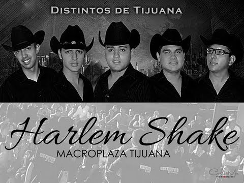 Harlem Shake Distintos De Tijuana 2013 Youtube