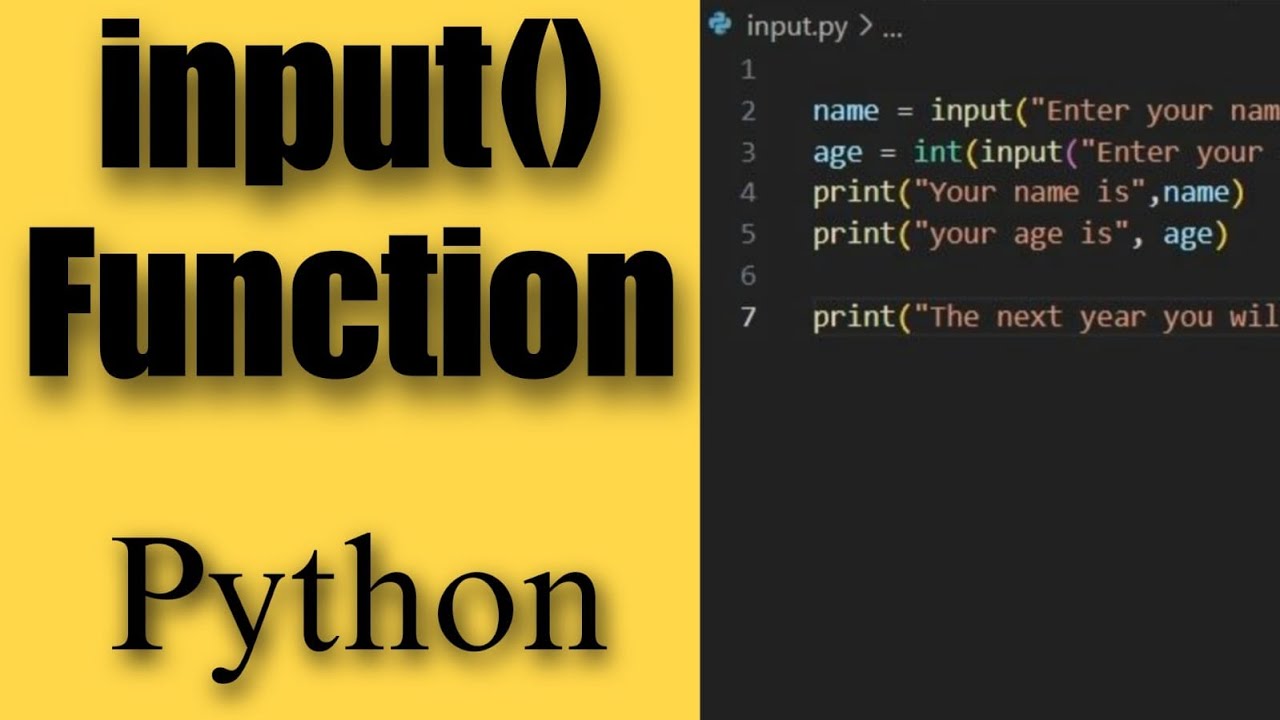 Python Prompt Input Python Input Examples Ltax