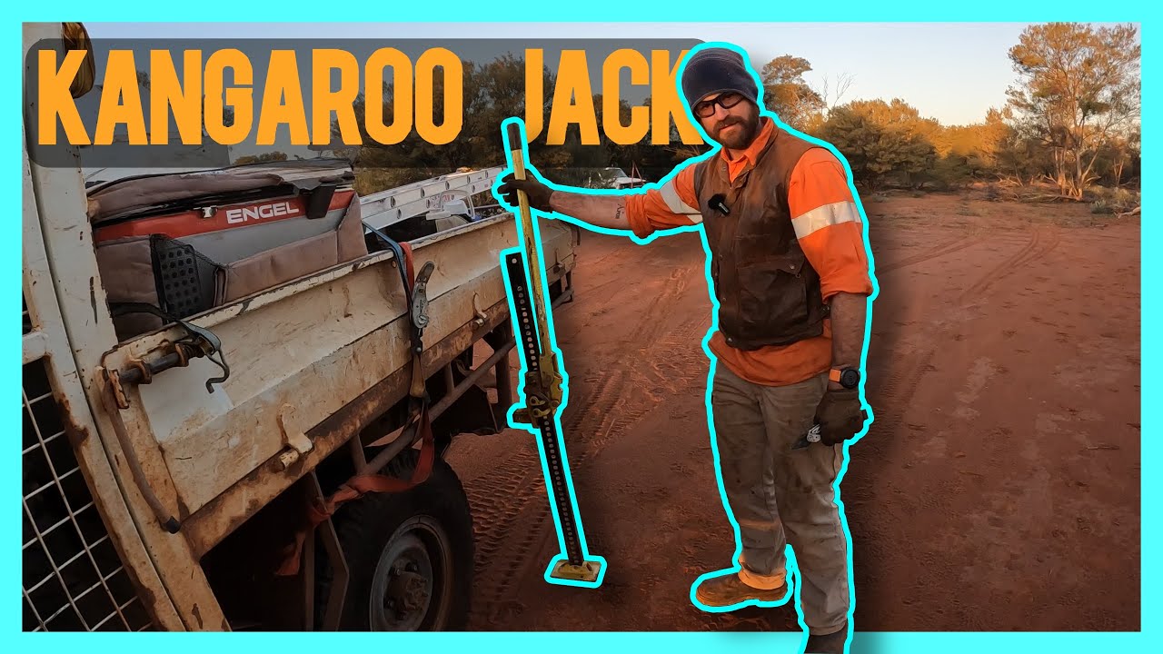 Kangaroo Jack Chicken Blood At Aaron Battye Blog