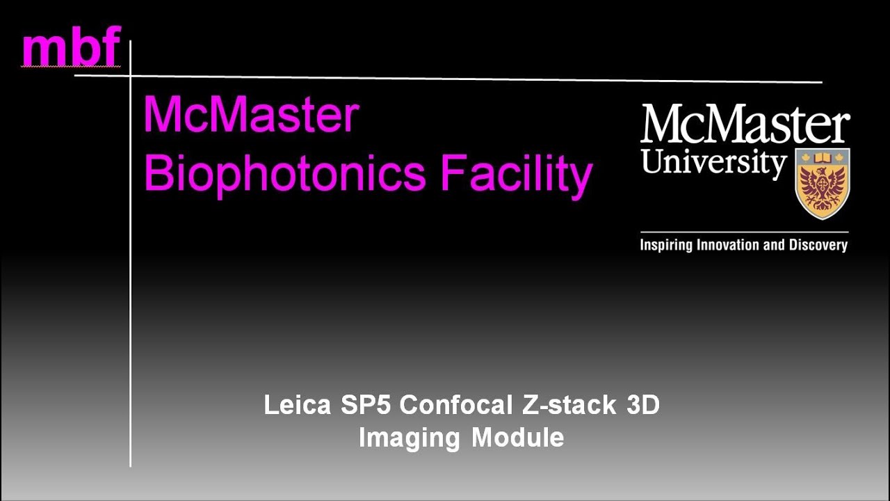 Sp5zstackmodule Youtube