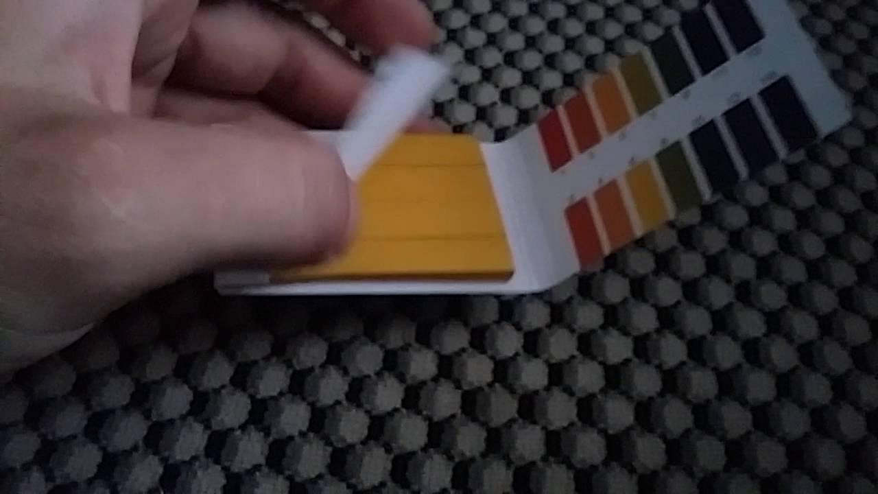 Ph Test Paper Strips Youtube