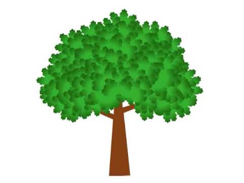 Growing Tree Animation Youtube
