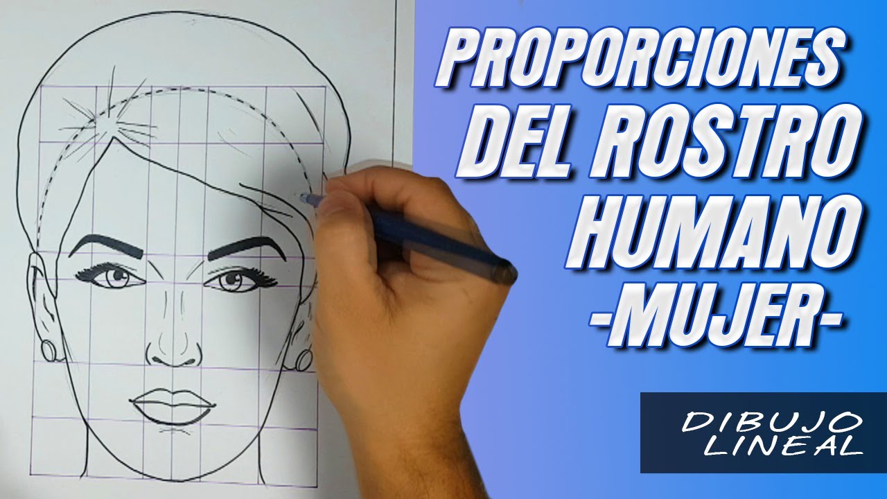 Dibujar Proporciones De Rostro Femenino