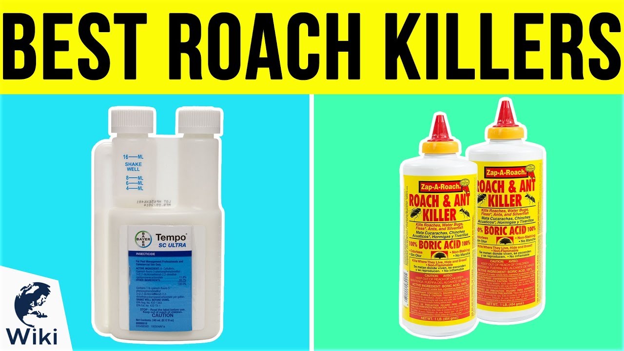 Best Cockroach Killer Products