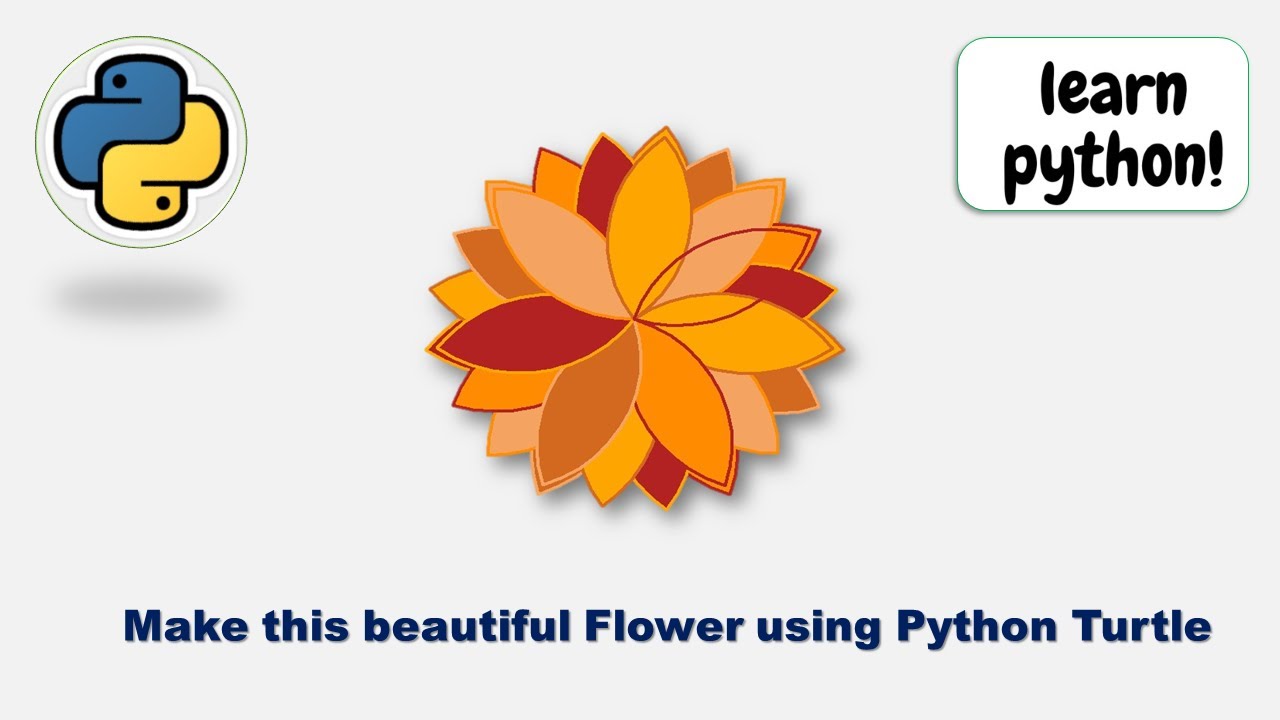 Draw This Flower Using Python Turtle Module Python Turtle Youtube
