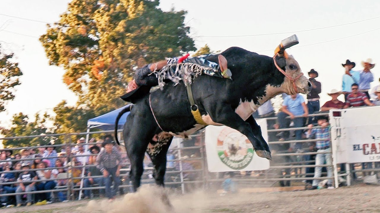 Puras Montas Perronas En Este Jaripeo Rancho El Capricho En Ceres